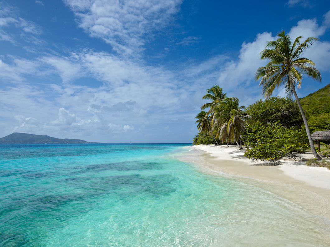 St. Vincent & the Grenadines Dive Holiday | Reefscape Travel