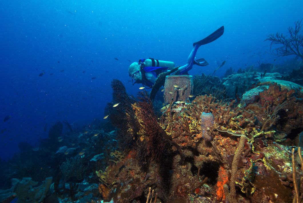 St. Vincent & the Grenadines Dive Holiday | Reefscape Travel