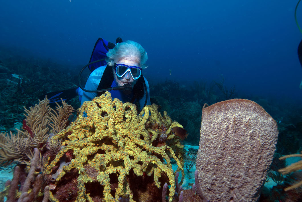 St. Vincent & the Grenadines Dive Holiday | Reefscape Travel